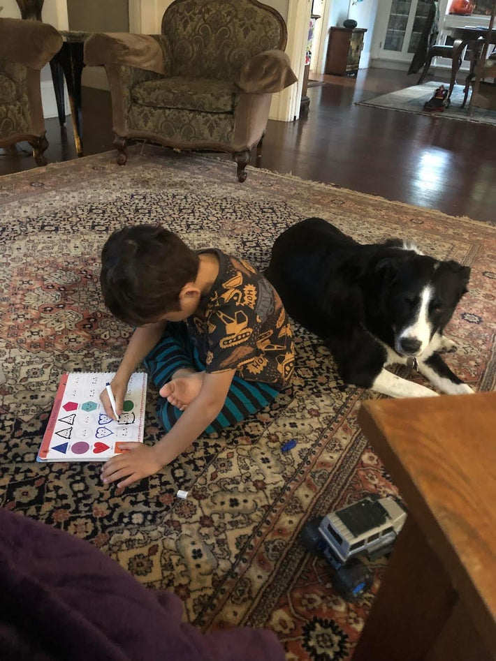 The Fastest Proven Way To Elevate Playtime To Genius Level Little